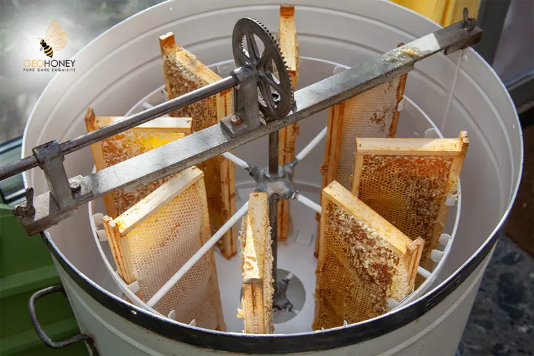 Honey Extractors Beneficial Tips For Efficient Extraction GeoHoney